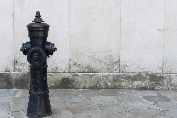 Free Stock Photo of Red Garage Door With Black and White Fire Hydrant ...