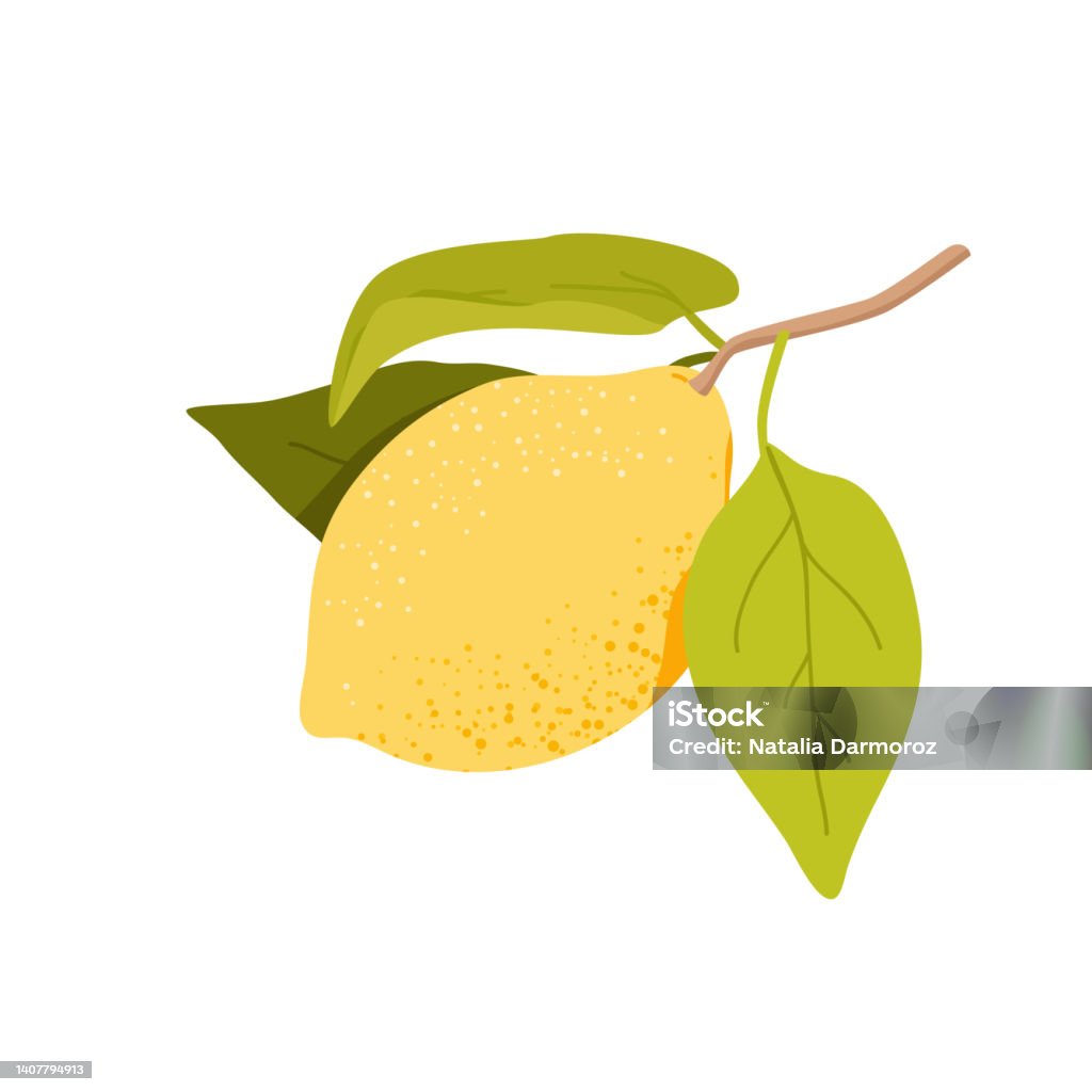 Buah Lemon Utuh Dengan Daun Tanaman Ilustrasi Stok Unduh Gambar Sekarang Alam Bagian Dari