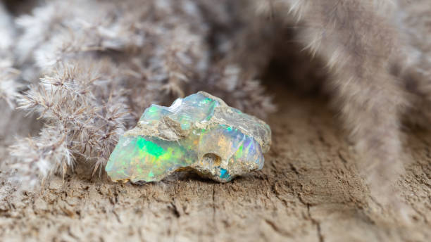 Opal Pictures | Download Free Images on Unsplash