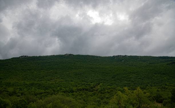 Free Stock Photo of Green Mountain Against Dark Sky | Download Free ...