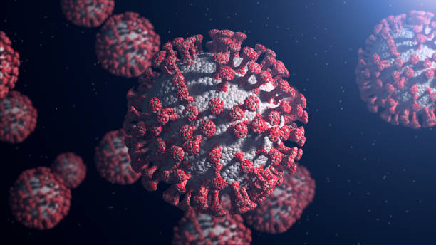 Free picture: human cooronavirus, COVID-19, virions, coronaviridae ...
