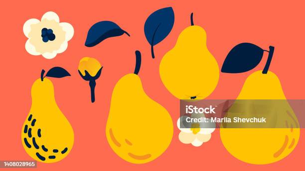 Koleksi Pir Kuning Pir Vektor Diisolasi Pada Clip Art Latar Belakang