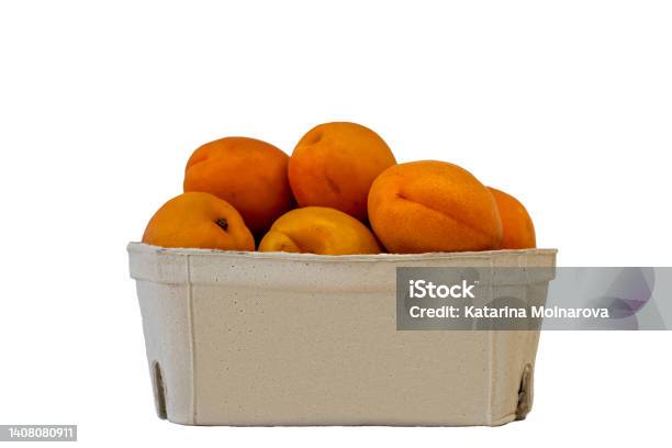 Aprikot Manis Dalam Keranjang Kertas Daur Ulang Yang Diisolasi Dengan ... Aprikot Manis Dalam Keranjang Kertas Daur Ulang Yang Diisolasi Dengan ...