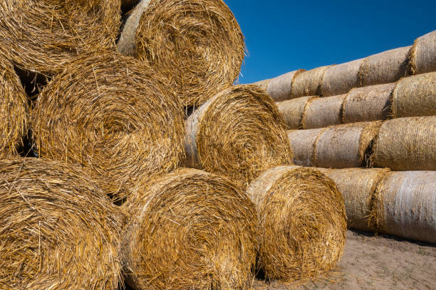 Hay Bales Pictures | Download Free Images on Unsplash