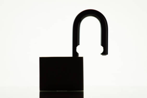 Open Lock Pictures | Download Free Images on Unsplash