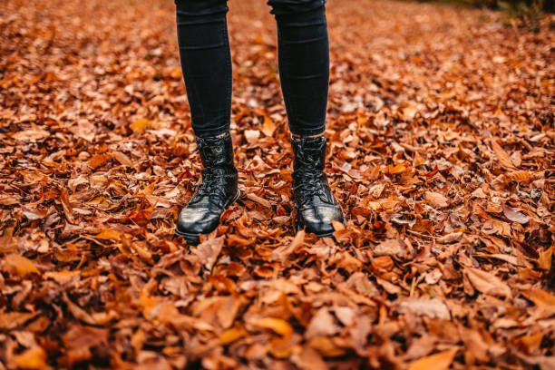 Free picture: autumn, leather, boot, leaf, nature, foot, outdoors ...