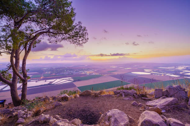 Gilboa Pictures | Download Free Images on Unsplash