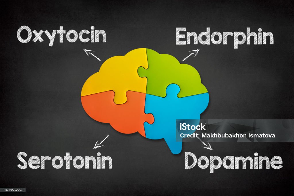 Human Brain Made Of Puzzle With Hormone Biochemical Concept On Black