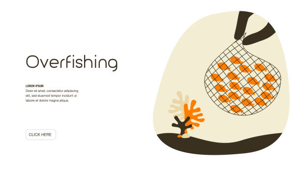 Overfishing Clipart Vector PNG , SVG, EPS, PSD, AI