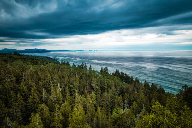 Washington Coast Pictures | Download Free Images on Unsplash