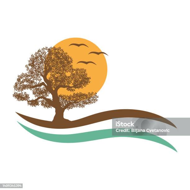 Old Tree Stock Illustration Download Image Now Agricultural Field Agriculture Botany Istock