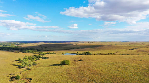 500+ Prairie Pictures | Download Free Images on Unsplash