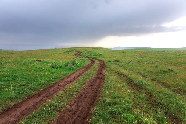 Free Stock Photo of Dirt Road Running Through Grassy Field | Download ...