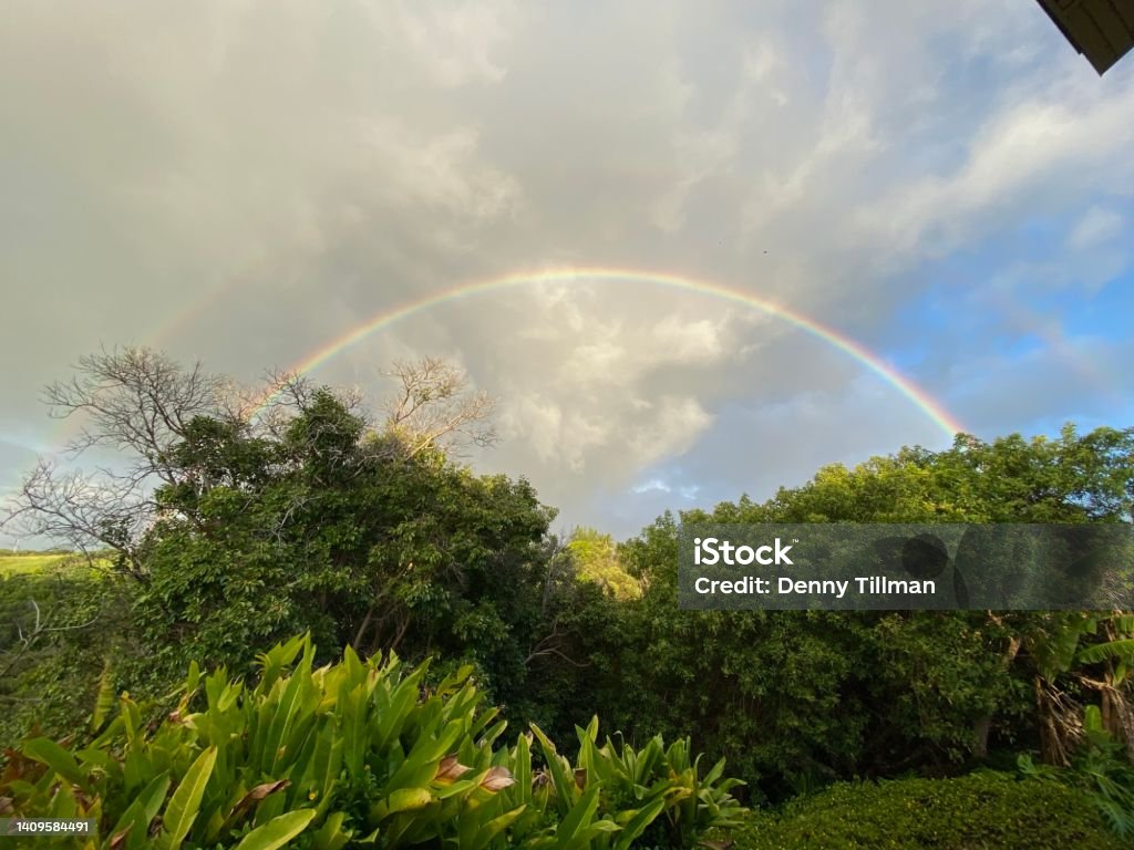 Maui Rainbow Stock Photo - Download Image Now - Beauty, Beauty In ... Maui Rainbow Stock Photo - Download Image Now - Beauty, Beauty In ...