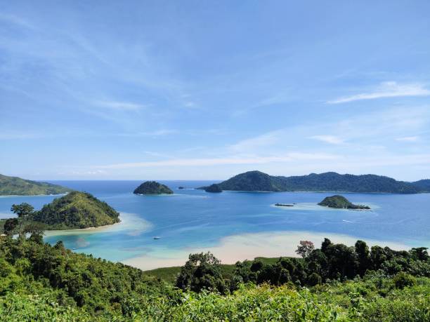 Sumatra Pictures | Download Free Images on Unsplash