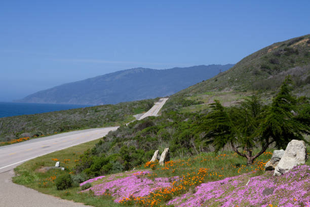 Coastal Road Pictures | Download Free Images on Unsplash