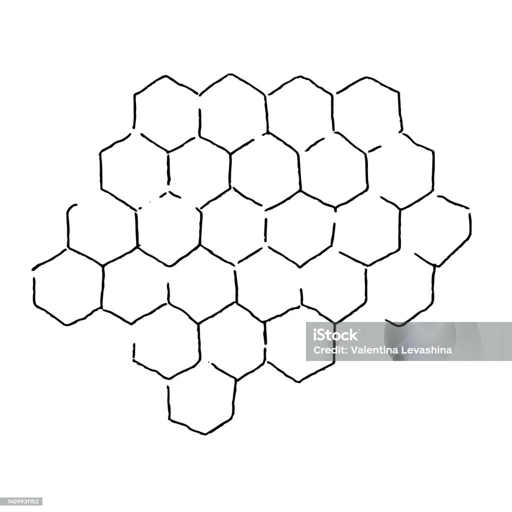 Hand Drawn Honey Comb Propolis Honeycomb Sketch Hand Drawn Honey Comb ... Hand Drawn Honey Comb Propolis Honeycomb Sketch Hand Drawn Honey Comb ...