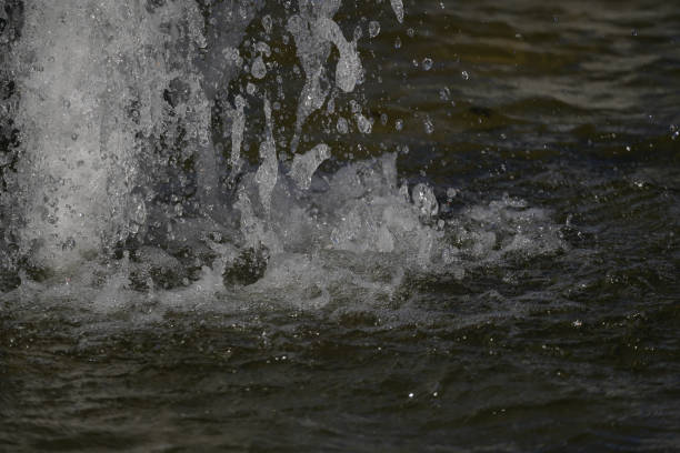 Free picture: fountain, liquid, water, wet, splash, seashore, motion ...