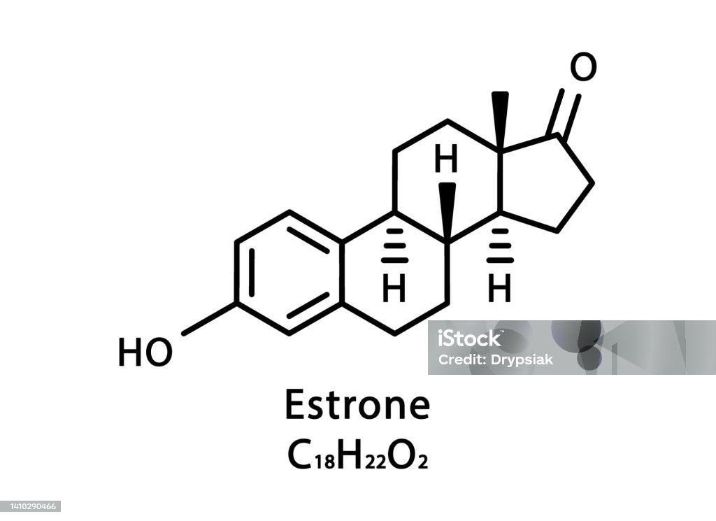Estrone Molecular Structure Estrone Skeletal Chemical Formula Chemical