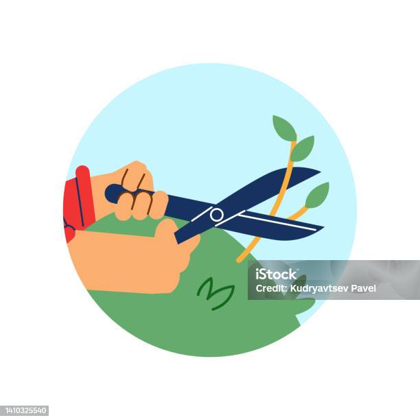 Icône De Cadre Rond Sur Le Style Plat Délagage Darbre Illustration