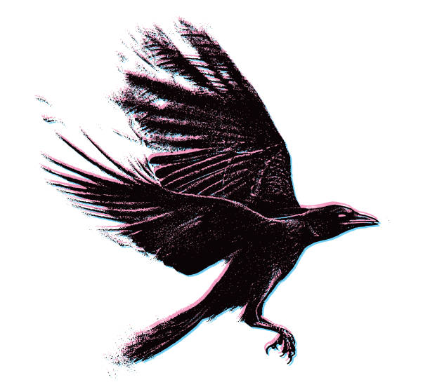 2 800 Plumage Corbeau Stock Illustrations Graphiques Vectoriels Libre