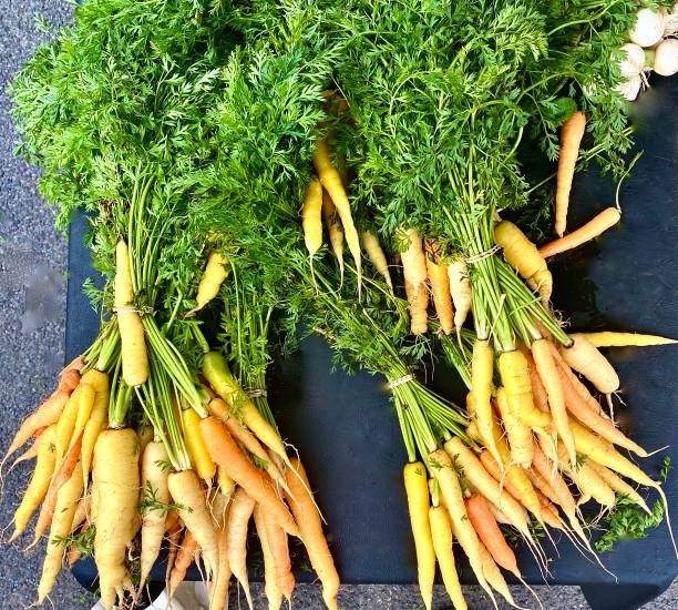 Free Stock Photo of Fresh carrots on a farmer s market stand | Download ...