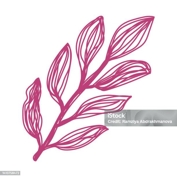 Croquis De Feuilles Dautomne Illustration Vectorielle Dessinée À La