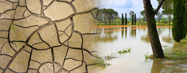 100+ Drought Pictures | Download Free Images on Unsplash