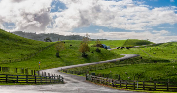 Film Landscape Pictures | Download Free Images on Unsplash