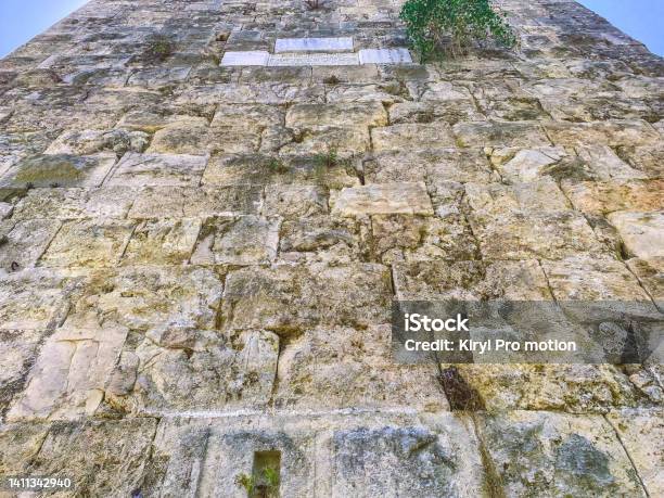 Tekstur Dinding Batu Dengan Rumpun Lumut Dan Rumput Menara Tinggi