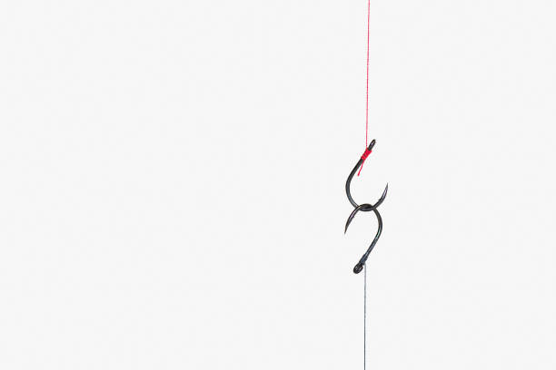 Fishing Hook Pictures | Download Free Images on Unsplash