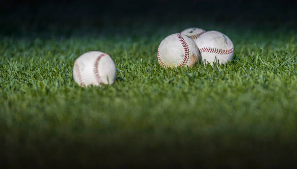 Mlb Pictures | Download Free Images on Unsplash