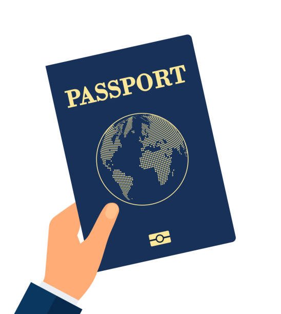1 100 Person Holding Passport Stock Illustrations Royalty Free Vector