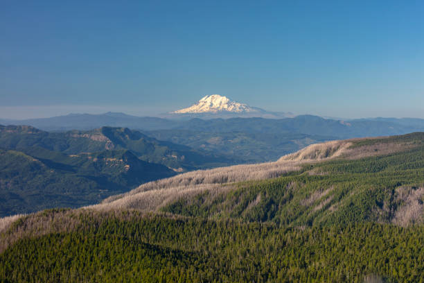 Free picture: wildfire, Adams