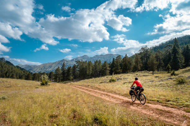Free picture: mountain bike, landscape, sport, forest road, bicycle ...