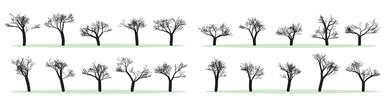 Ensemble Darbres Vectoriels Isilhouettes Noir Et Blanc Sans Feuilles