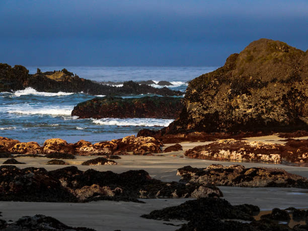 Free Stock Photo of beach fort bragg california rocky shore ocean sand ...