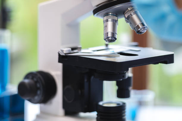 Biology Class Pictures | Download Free Images on Unsplash