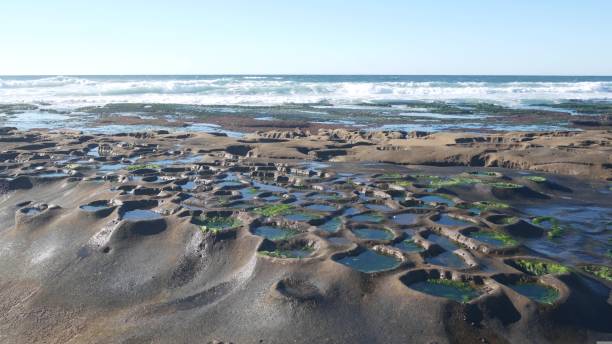 Tide Pool Pictures | Download Free Images on Unsplash