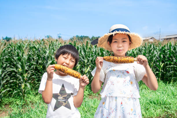 Free Stock Photo of Family holiday activities - eating grilled corn ...