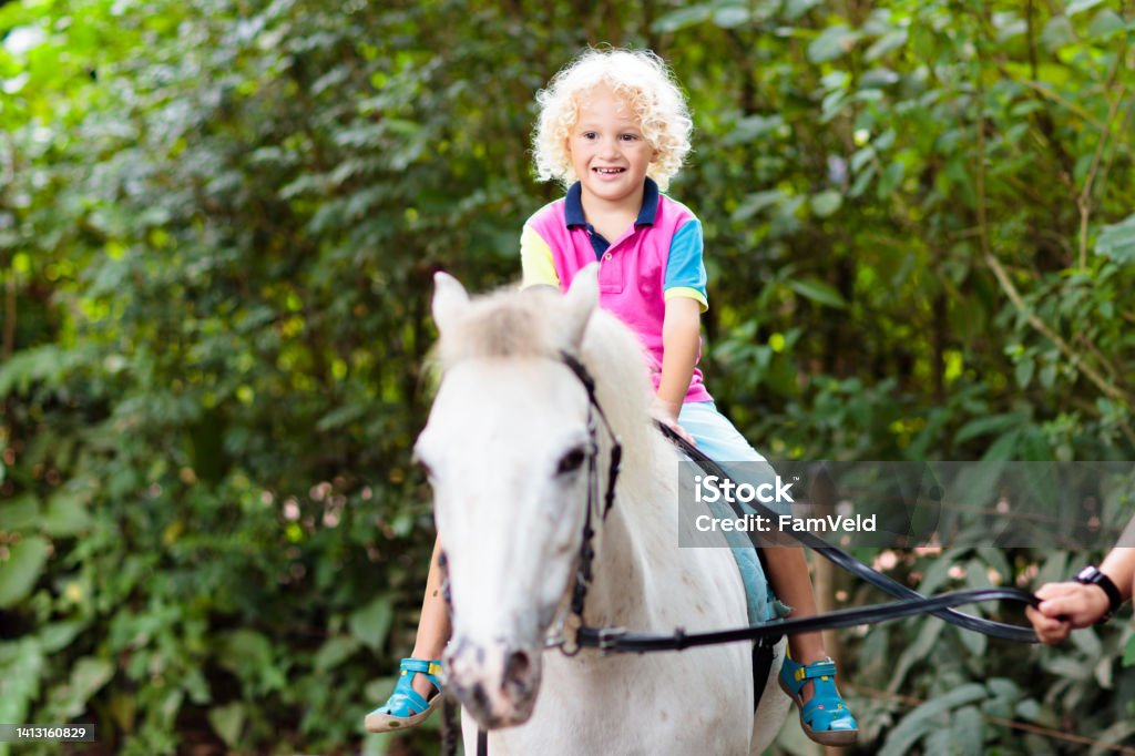 Child Riding Horse Kids Ride Pony Stock Photo - Download Image Now ... Child Riding Horse Kids Ride Pony Stock Photo - Download Image Now ...
