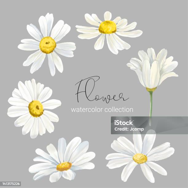Ensemble Déléments Floraux Ensemble De Collection De Style Aquarelle De ... Ensemble Déléments Floraux Ensemble De Collection De Style Aquarelle De ...