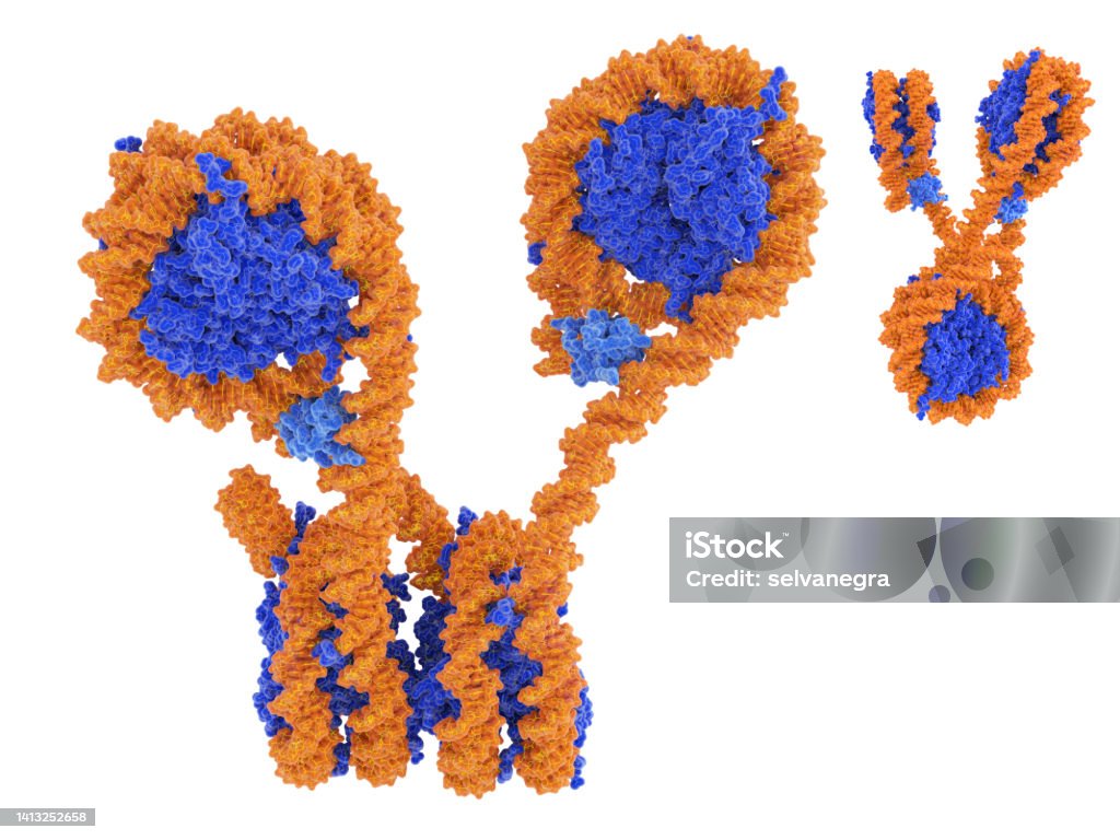 Tetranucleosome Array With 2 H1 Histones Nucleosomes Form The ... Tetranucleosome Array With 2 H1 Histones Nucleosomes Form The ...