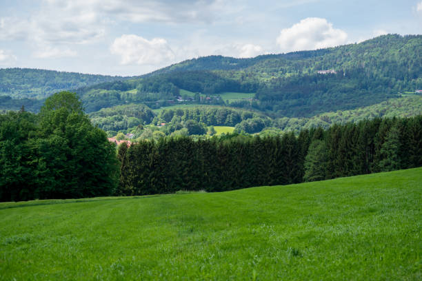 Free Stock Photo of Forest landscape with rolling hills in the ...