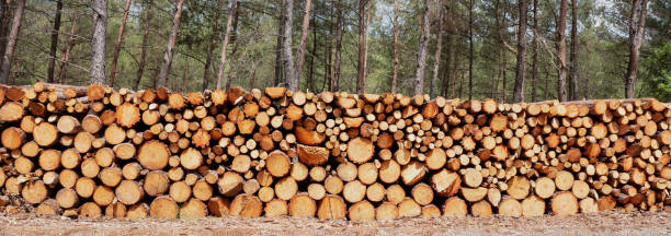 Free Stock Photo of Stack of Cut Logs | Download Free Images and Free ...