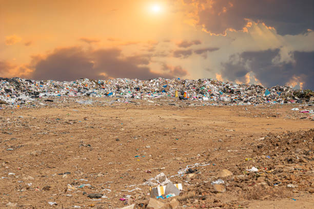 Free picture: poverty, junk, trash, junkyard, garbage, garbage ...