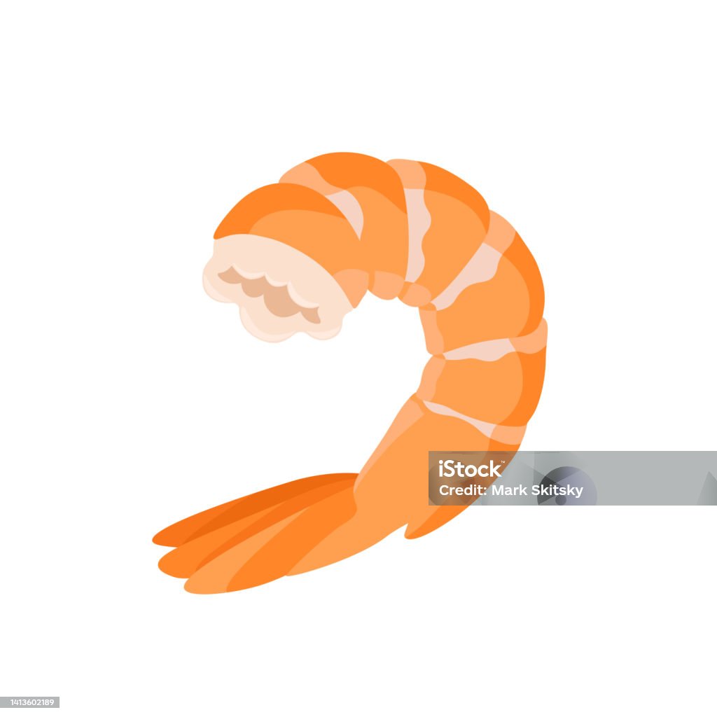 Crevette Orange Pelée Sans Illustration Vectorielle De Dessin Animé De
