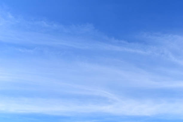 Cielo Azul Pictures | Download Free Images on Unsplash