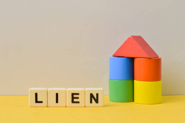 Lien Pictures | Download Free Images on Unsplash