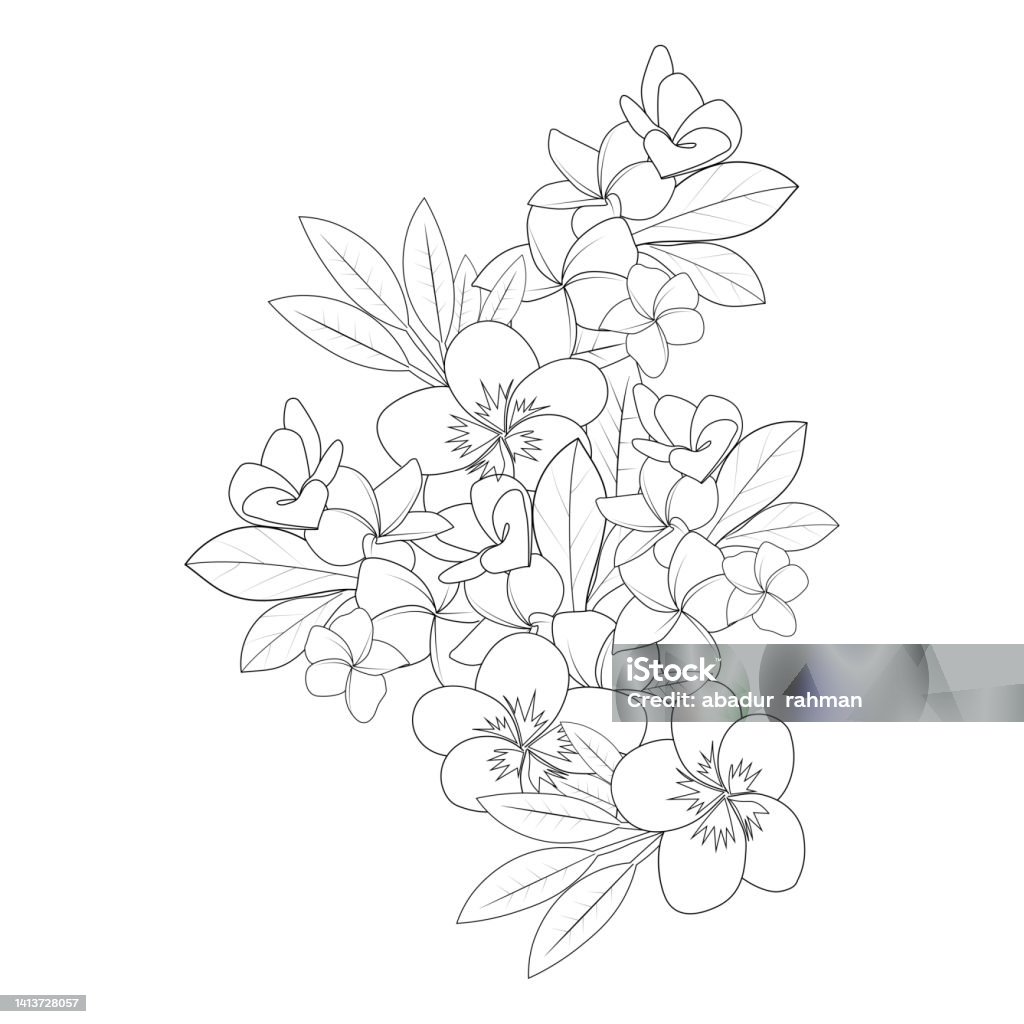 Sketsa Seni Garis Bunga Plumeria Dengan Garis Besar Halaman Pewarnaan